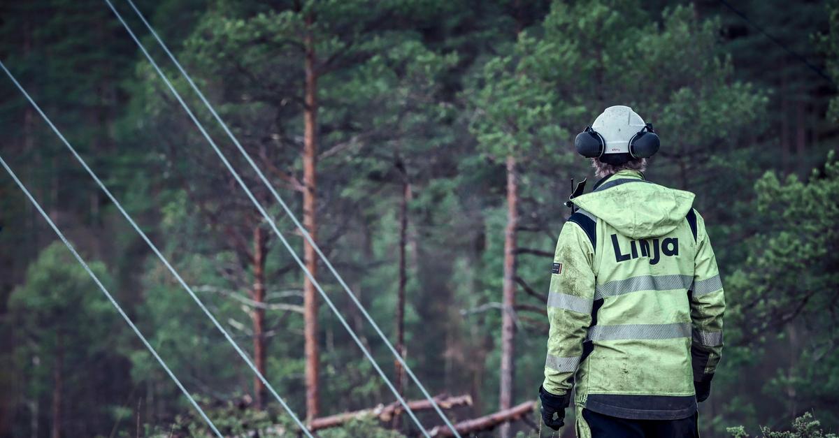 Tindra har blitt ein del av Linja | Linja