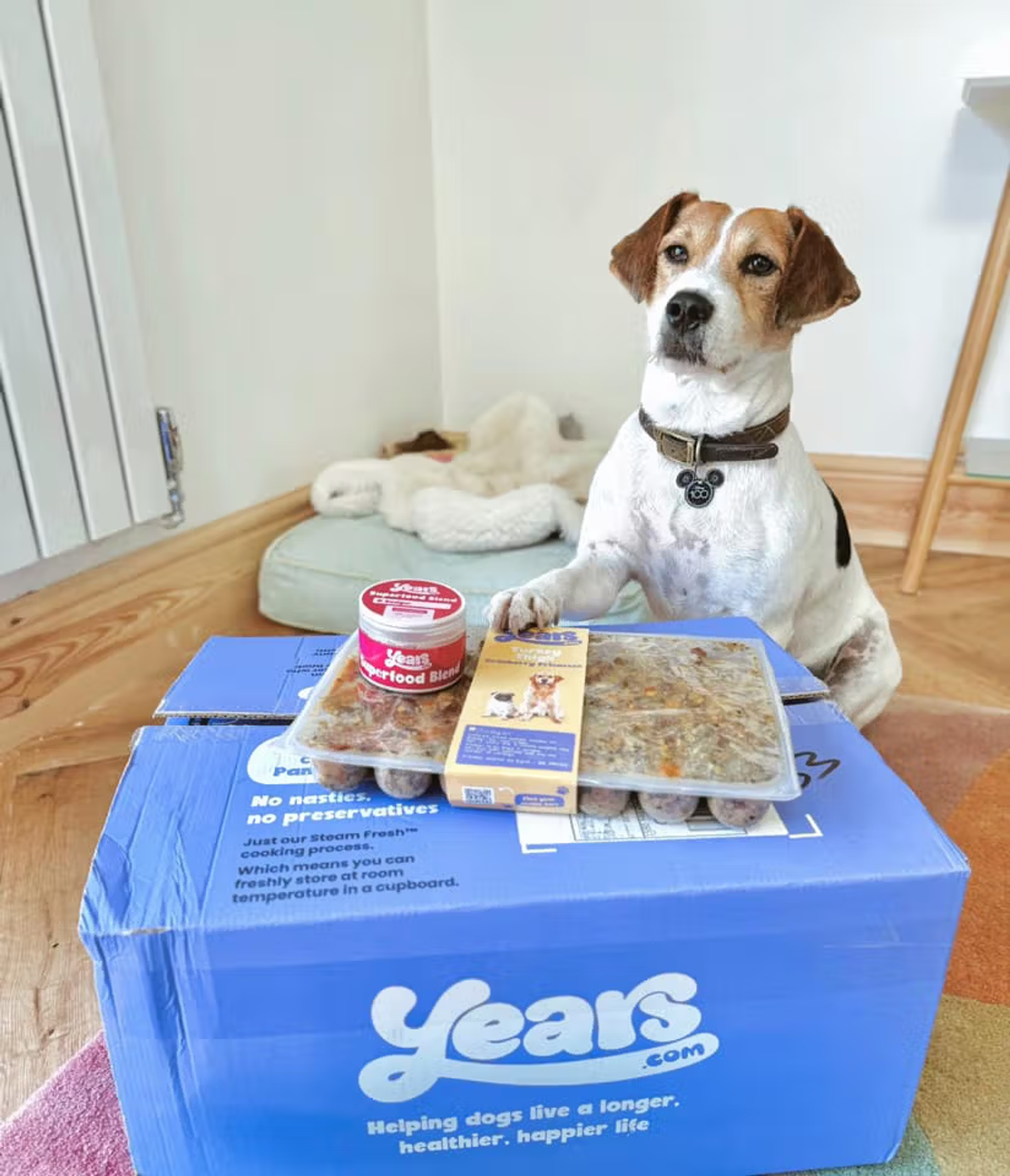 Shop Grain Free Dog Food & Treats | Best Dog Food UK