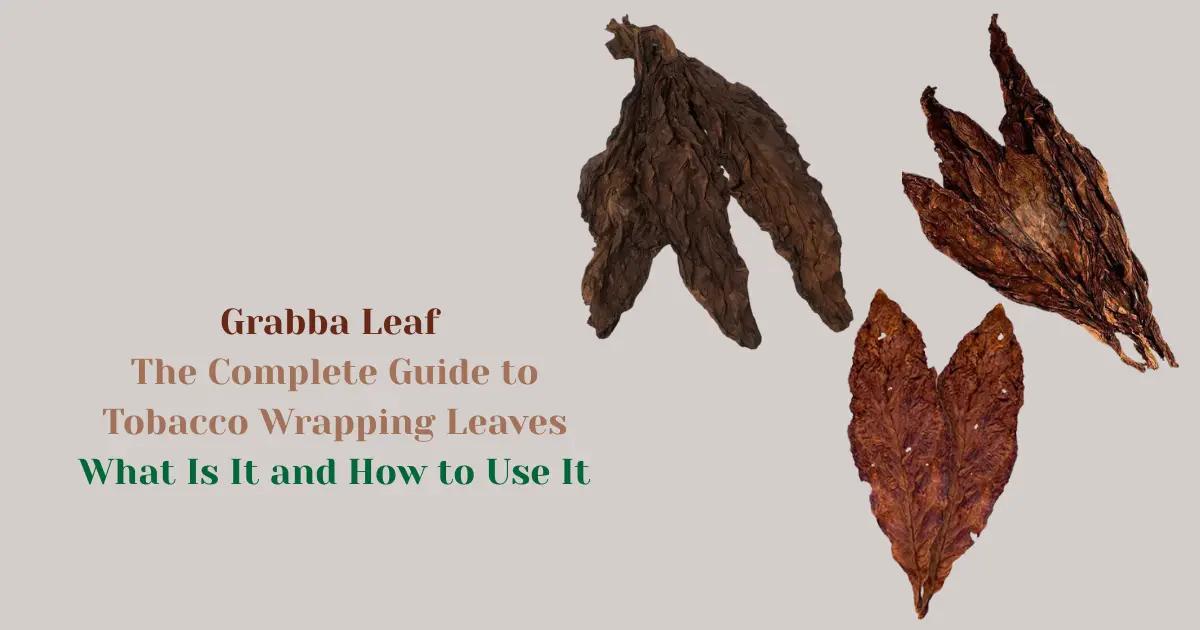 Grabba Leaf: The Complete Guide to Tobacco Wrapping Leaves | What Is It ...