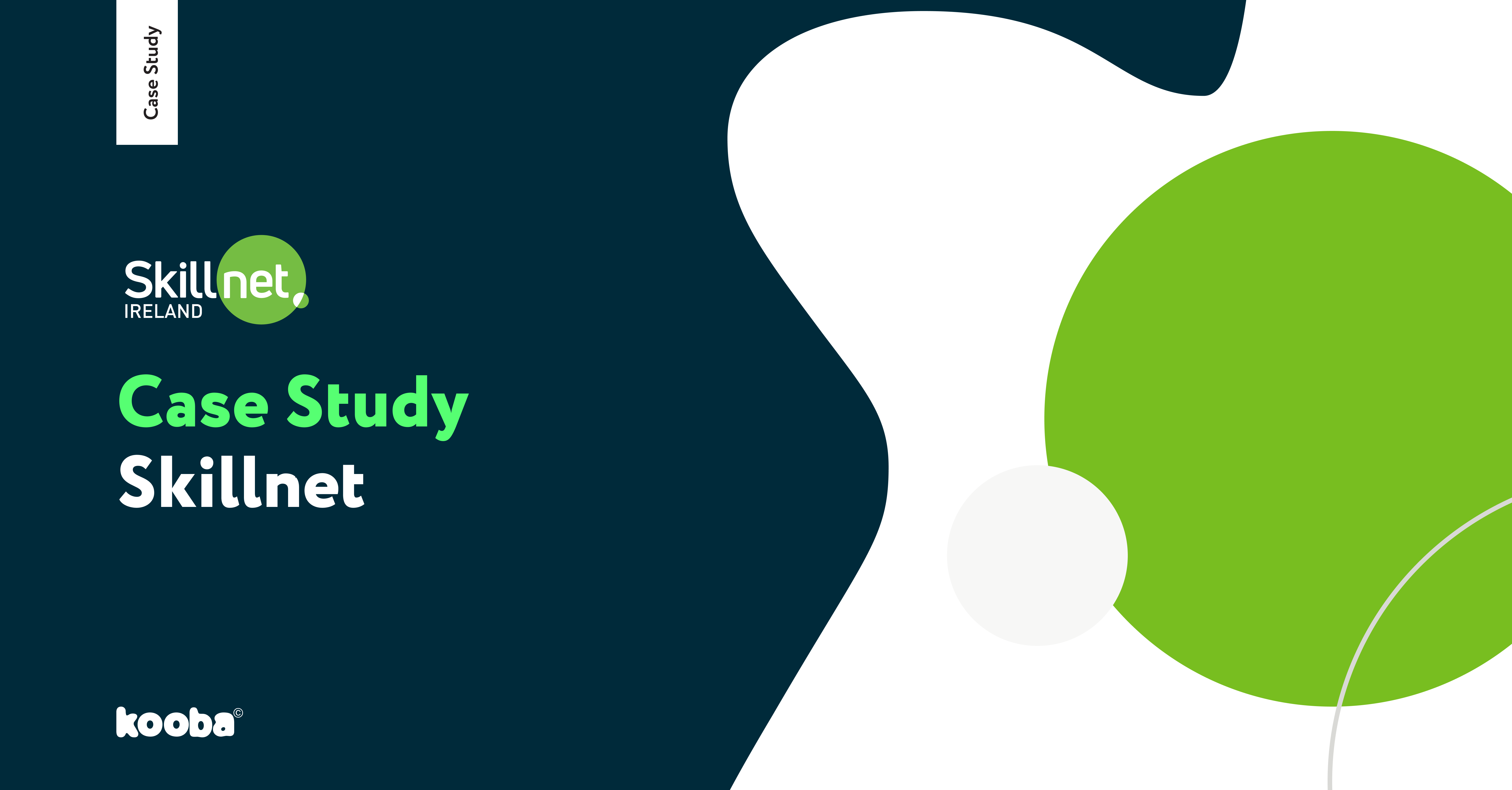 Skillnet Ireland | Web Design Kooba | Digital Agency | Dublin & Berlin