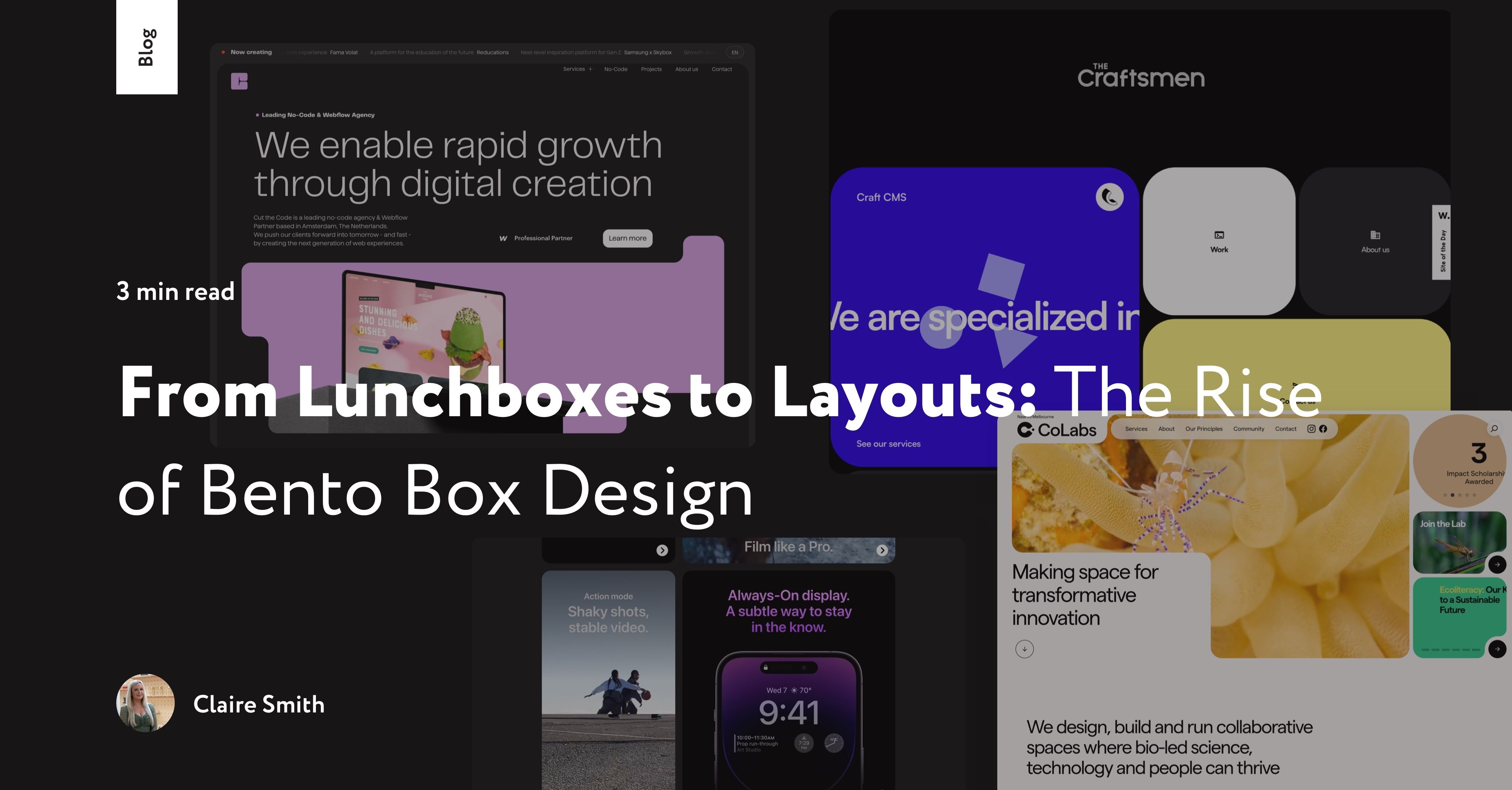 From Lunchboxes to Layouts: The Rise of Bento Box Design | Web Design Kooba | Digital Agency ...