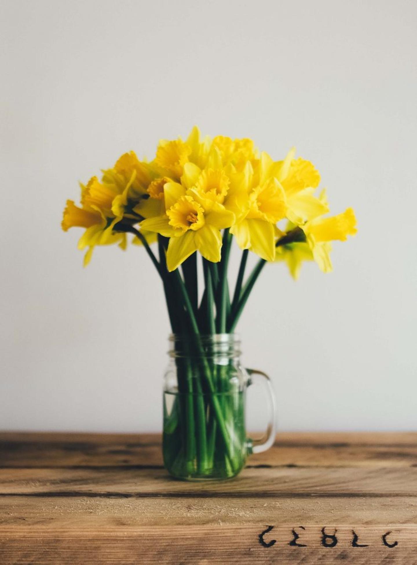 Top 10 Spring Flowers | Lifestyle | Unwrapped | Lovingly