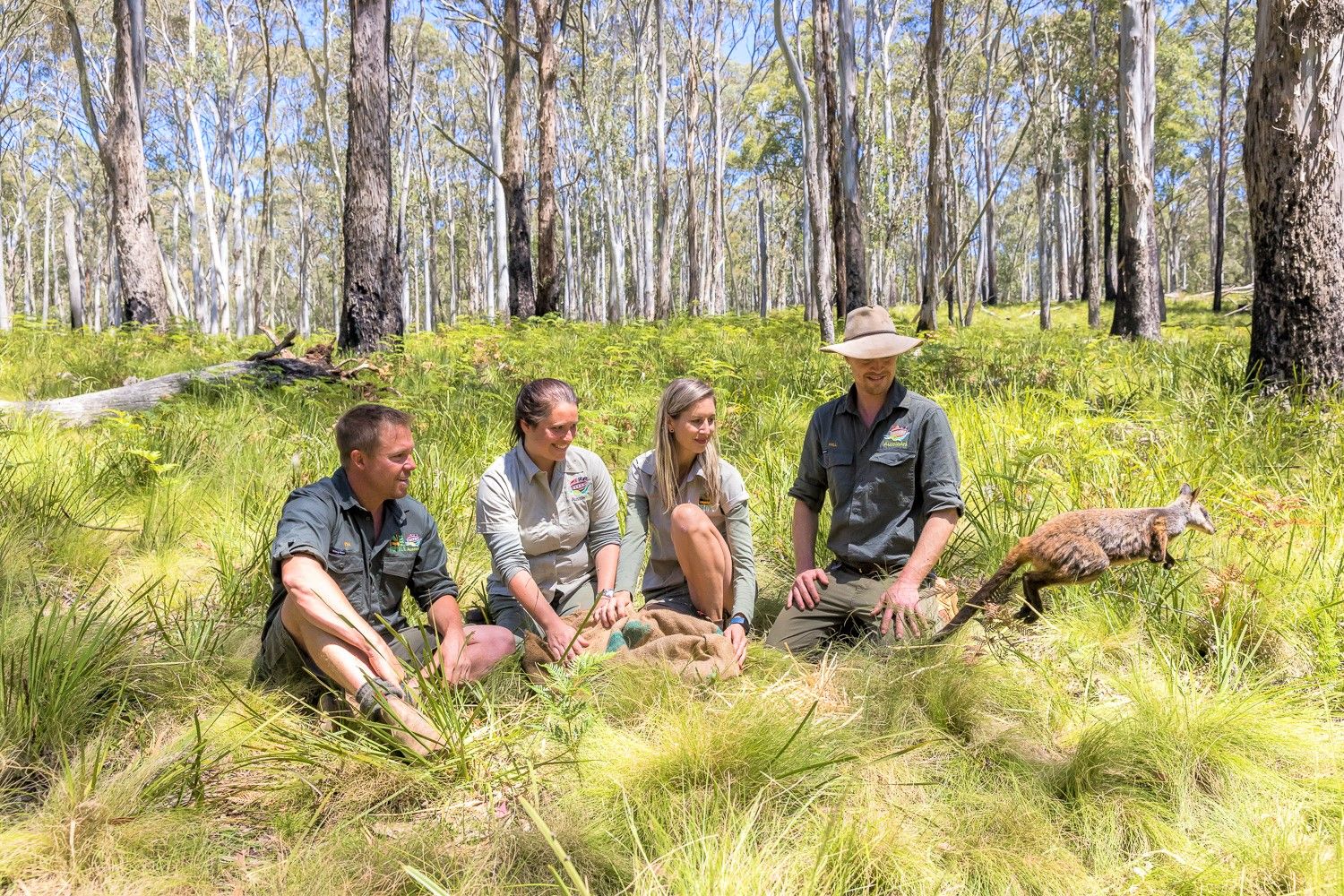 Rewilding | Restoring Australia’s Wildlife - Aussie Ark