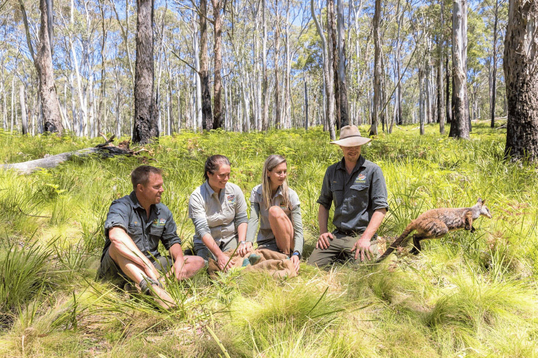 Aussie Ark’s 400-Hectare Feral-Proof Sanctuary - Aussie Ark