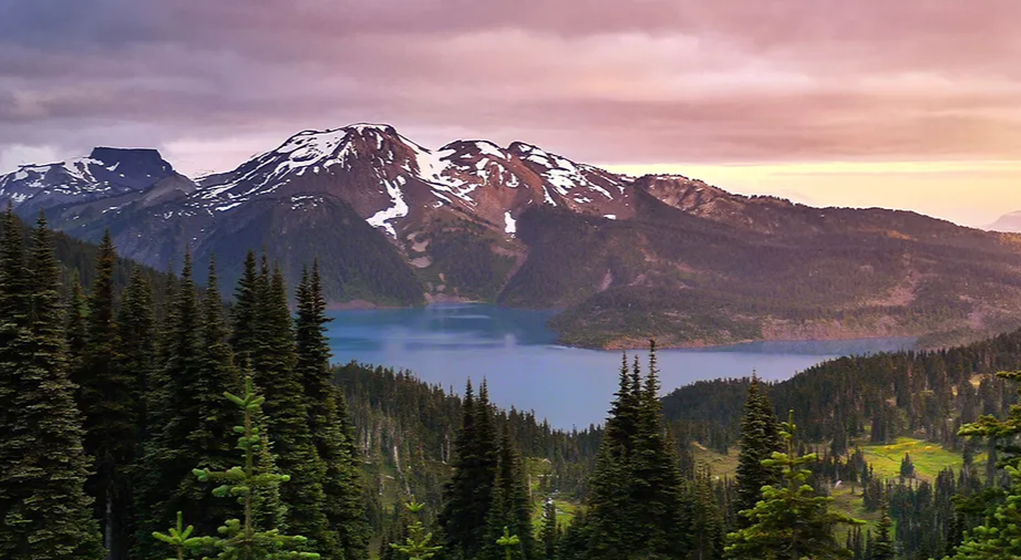 BlueShore Financial Members and Shareholders Vote in Favour of Merger ...