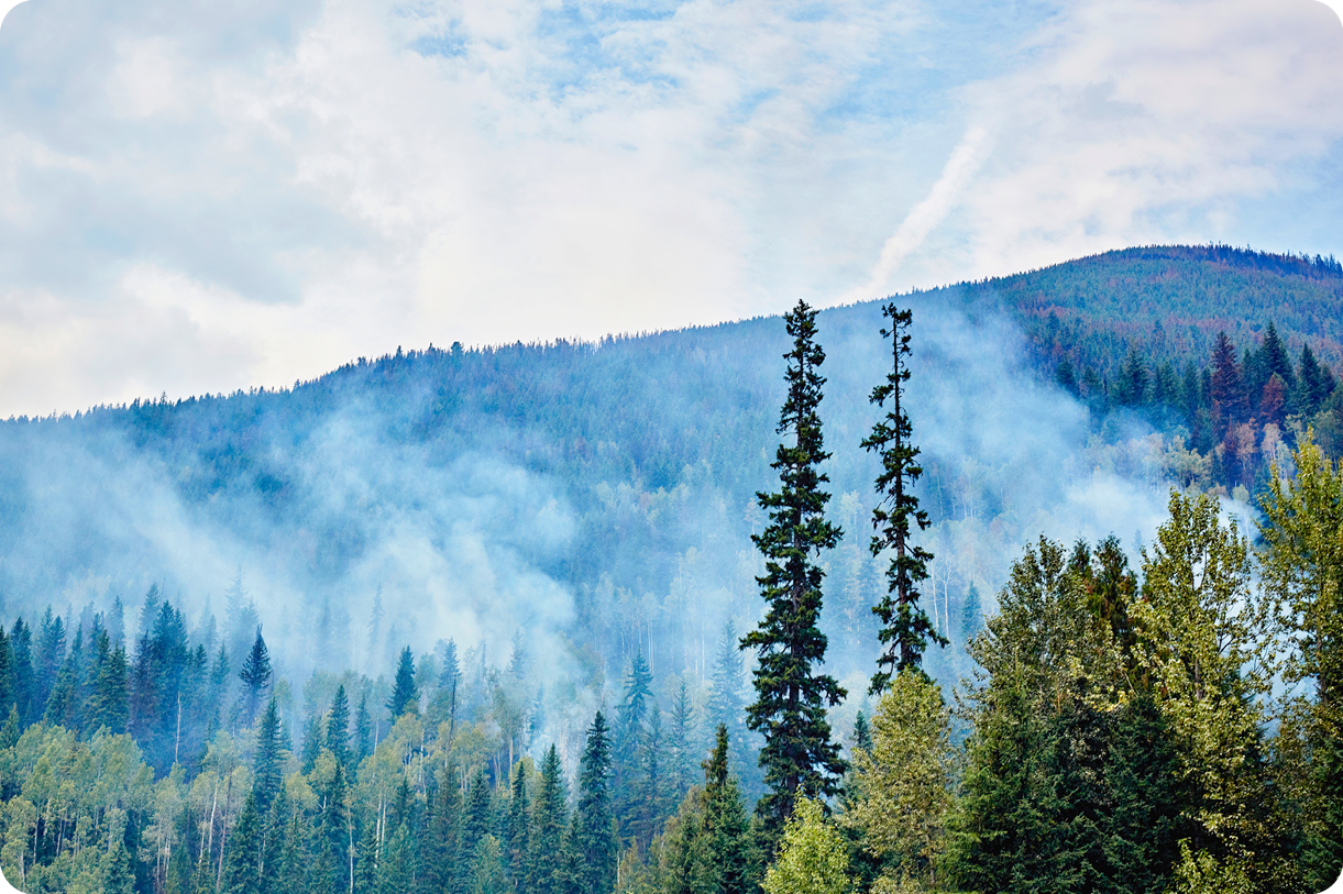 Wildfire Emergency Relief Program | Beem Credit Union