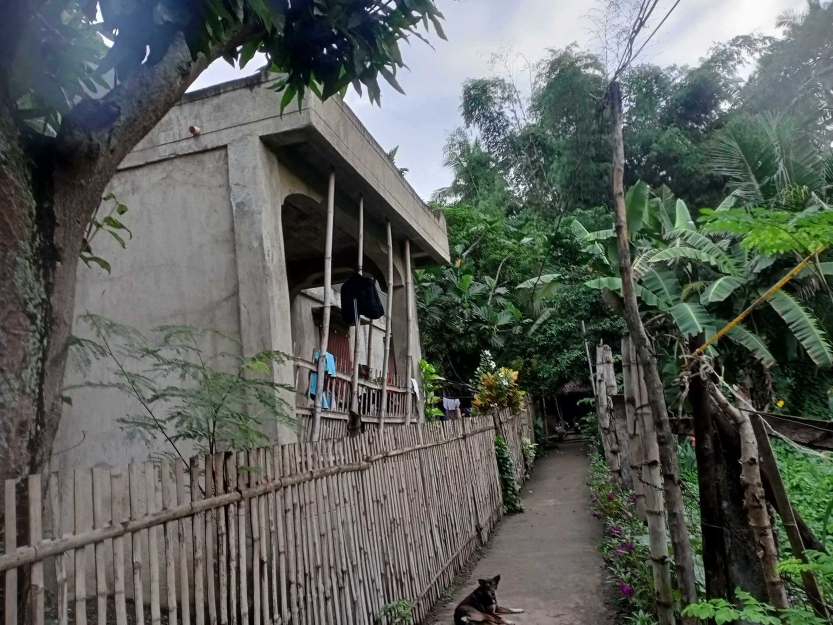 Understanding foreign domestic helpers (maids) and the domestic work ...