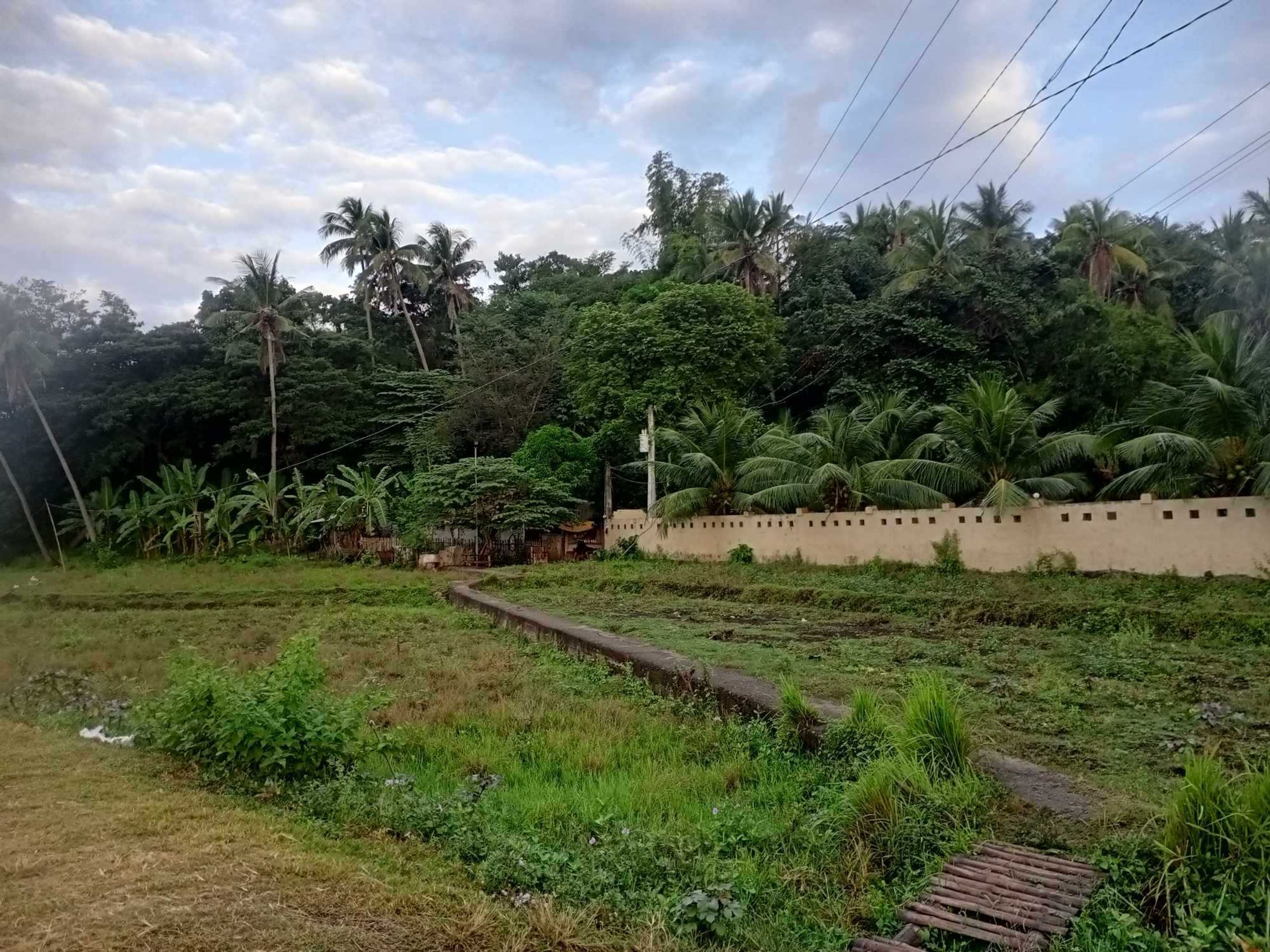 Understanding foreign domestic helpers (maids) and the domestic work ...