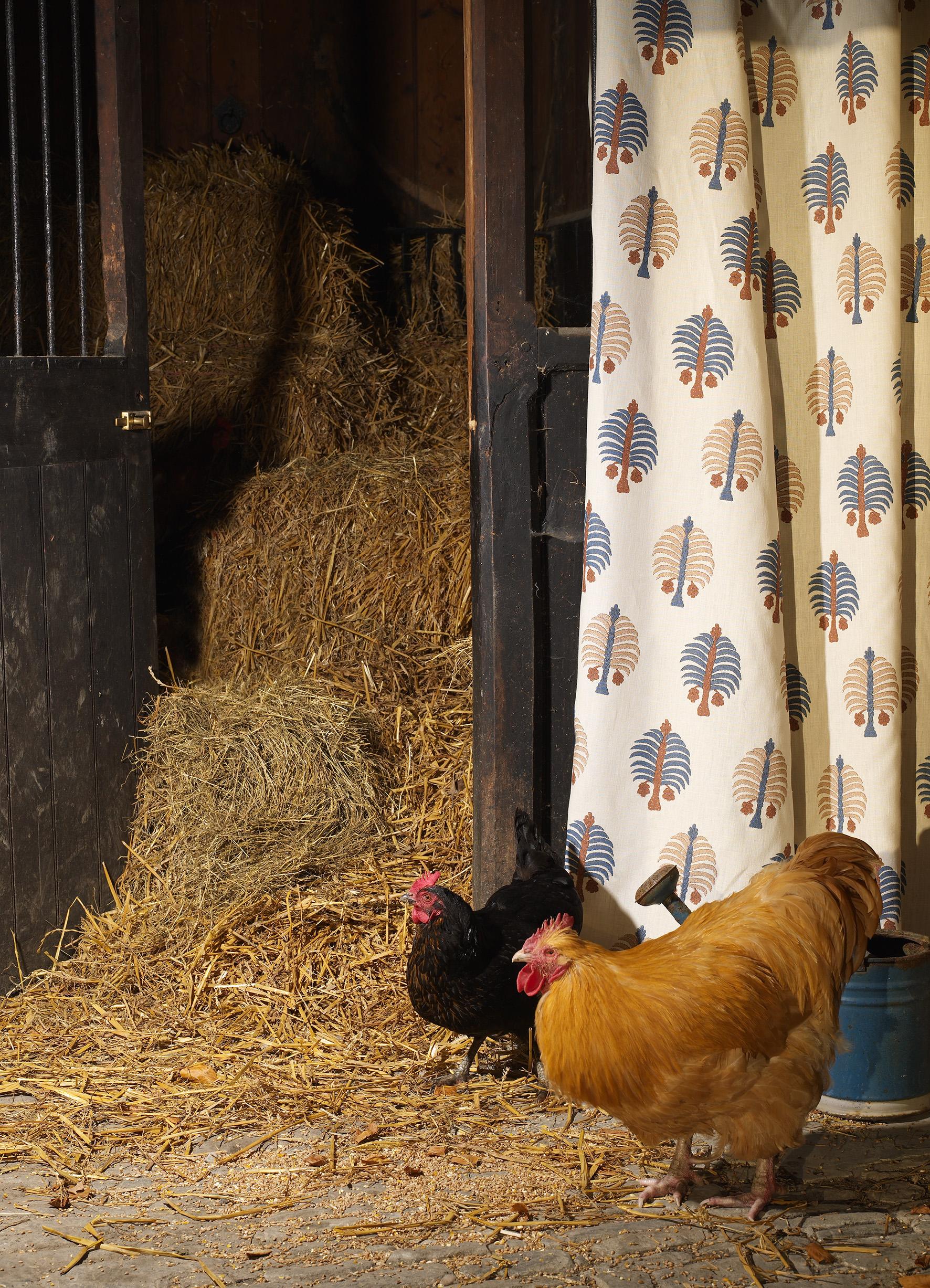 The Penny Morrison Guide to Ordering Fabric For Your Curtains · Penny ...