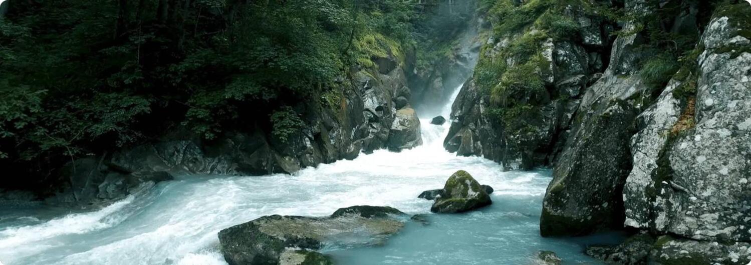 Cyan Ventures - Our People