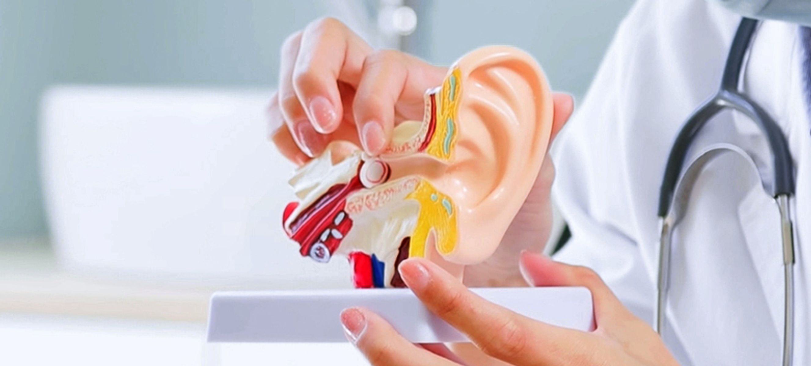 Ear, Nose & Throat (ENT), Head & Neck Surgery in Johor Bahru | Regency ...