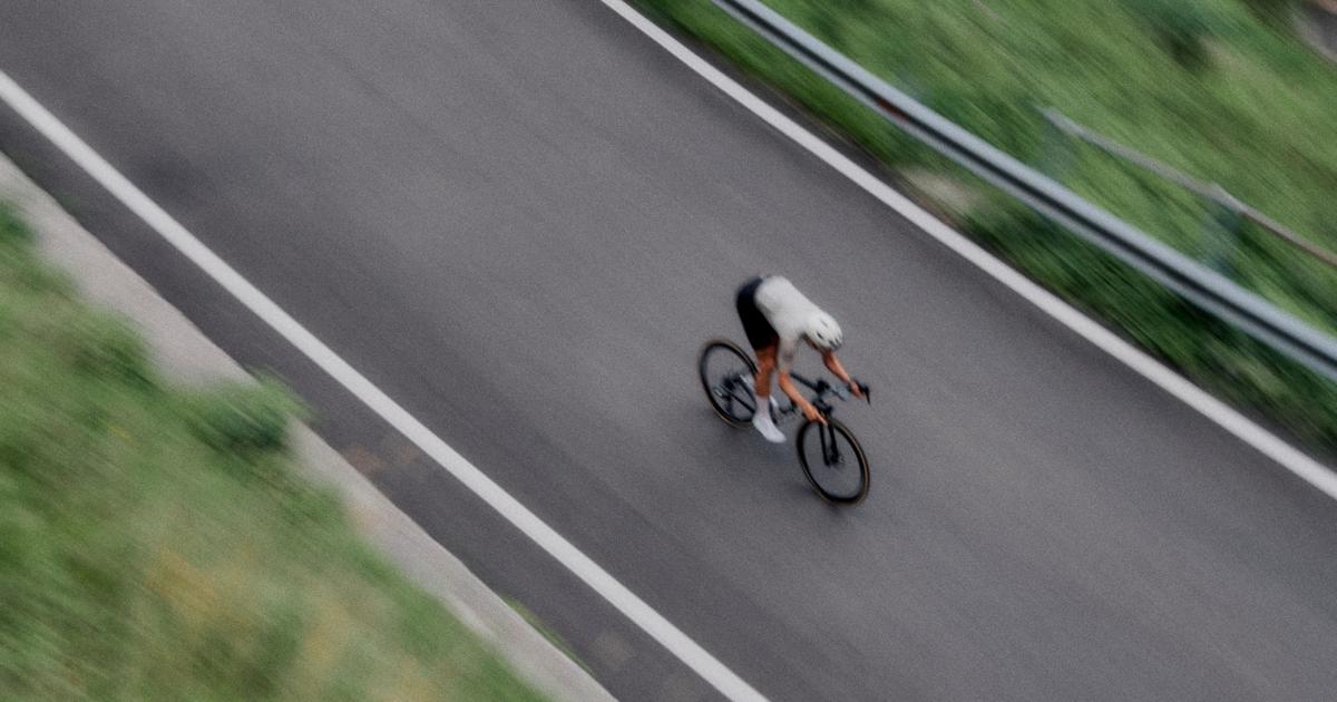 Files - POLYMER WORKSHOP®