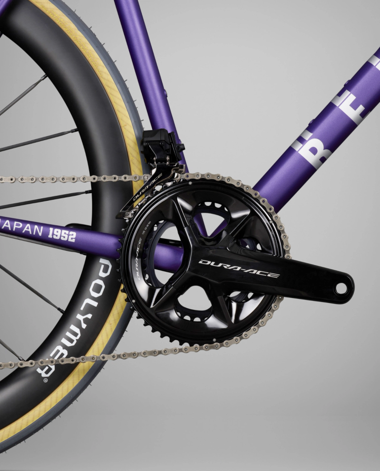 Machine Portrait | Repete R3 Panaracer Edition