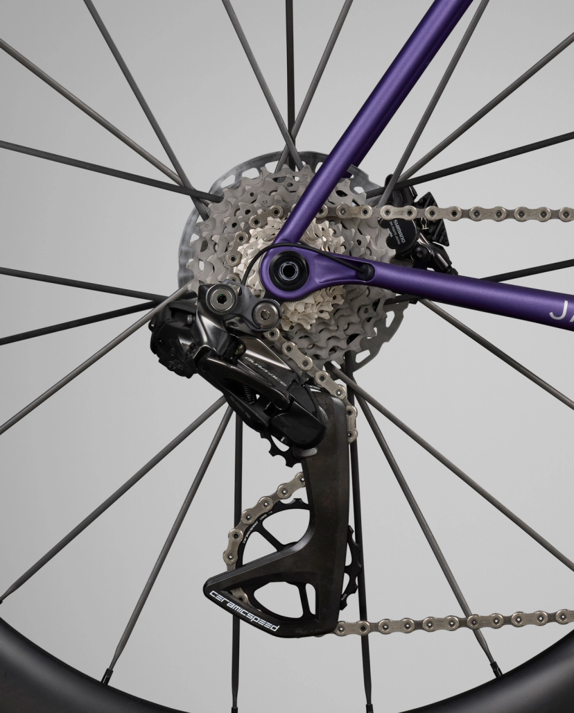 Machine Portrait | Repete R3 Panaracer Edition