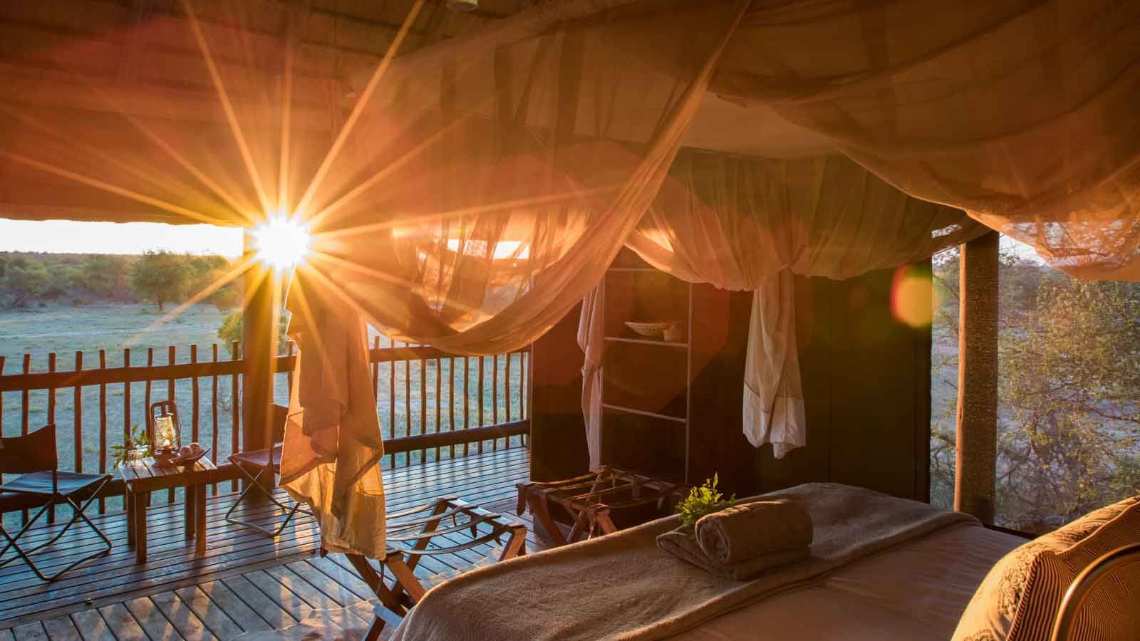 Gallery | nThambo Tree Camp