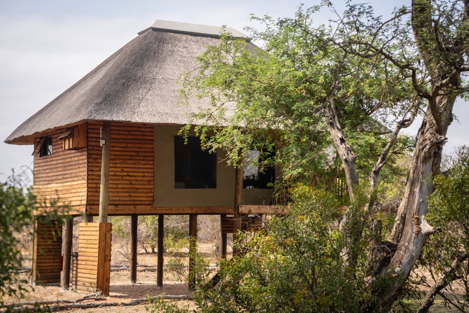 nThambo Tree Camp Chalet on Stilts