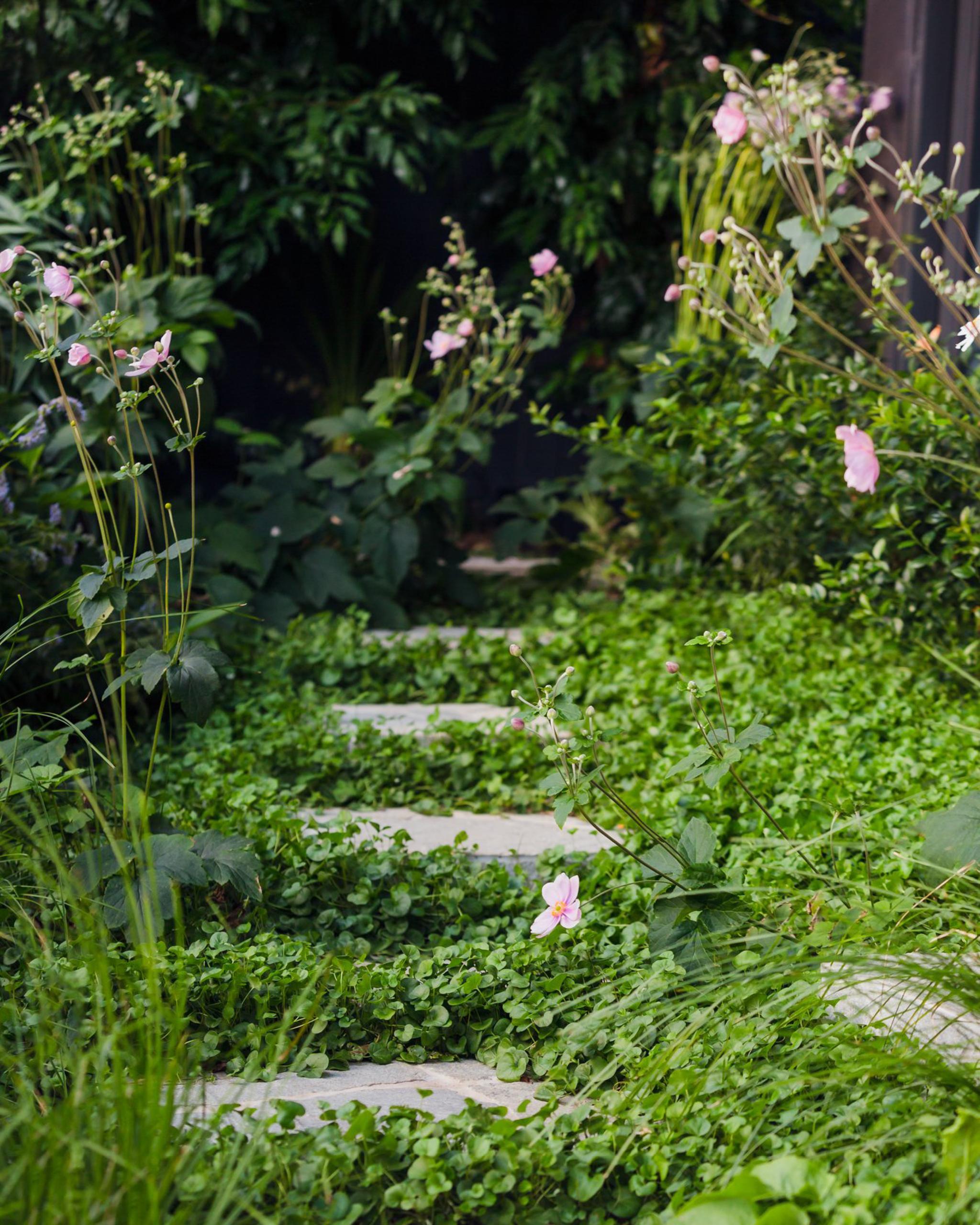 Mira Martinazzo of MUD Office - An ode to garden landscapes – Open Journal