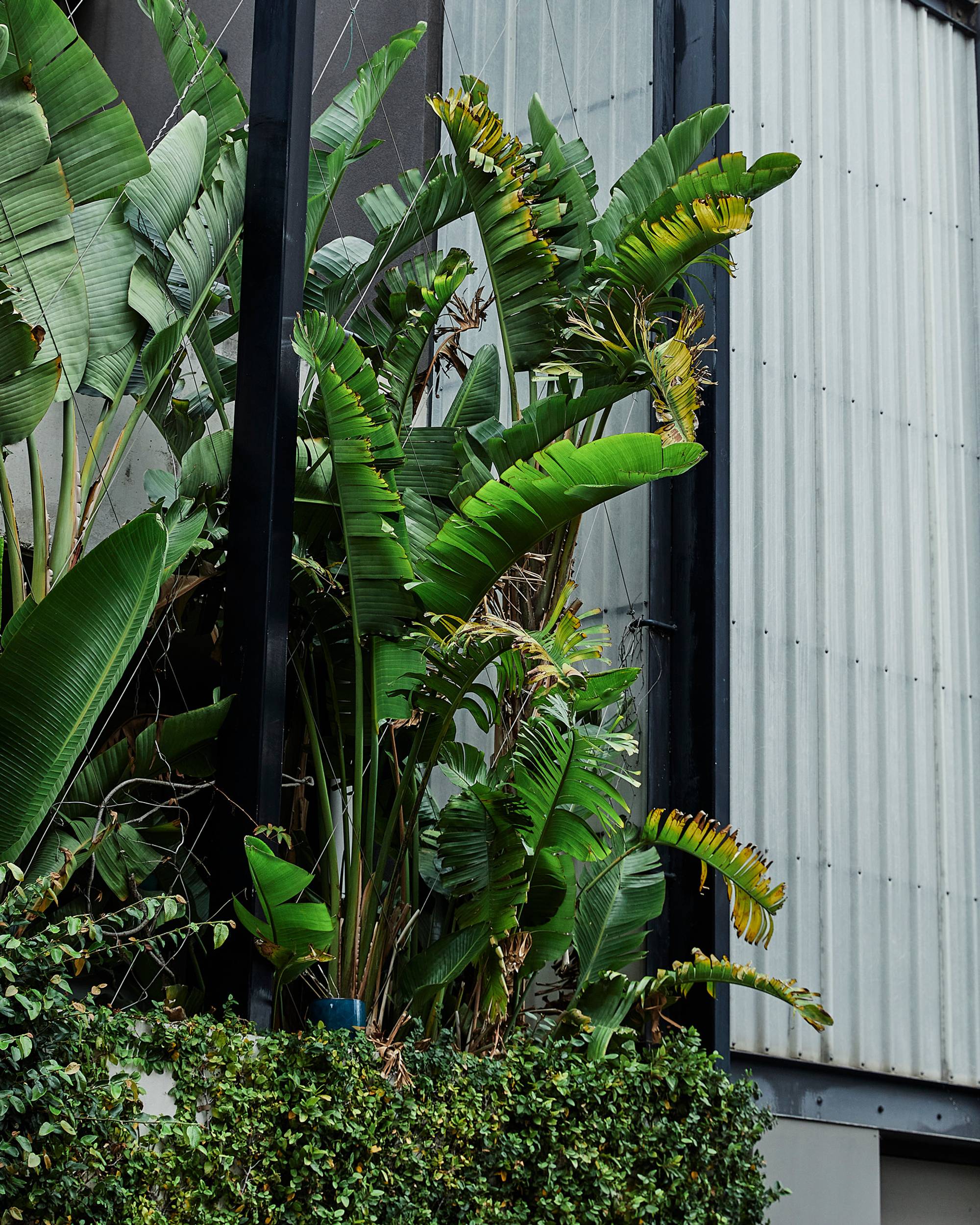 Dow Street, South Melbourne – Neometro