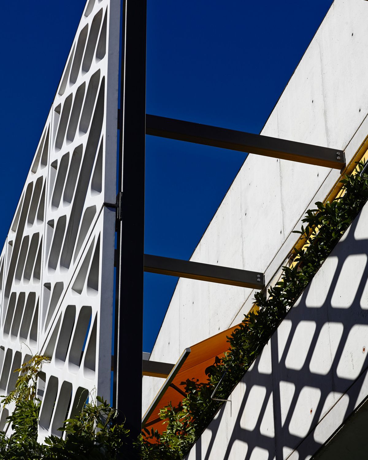 Airlie Bank Lane, South Yarra – Neometro