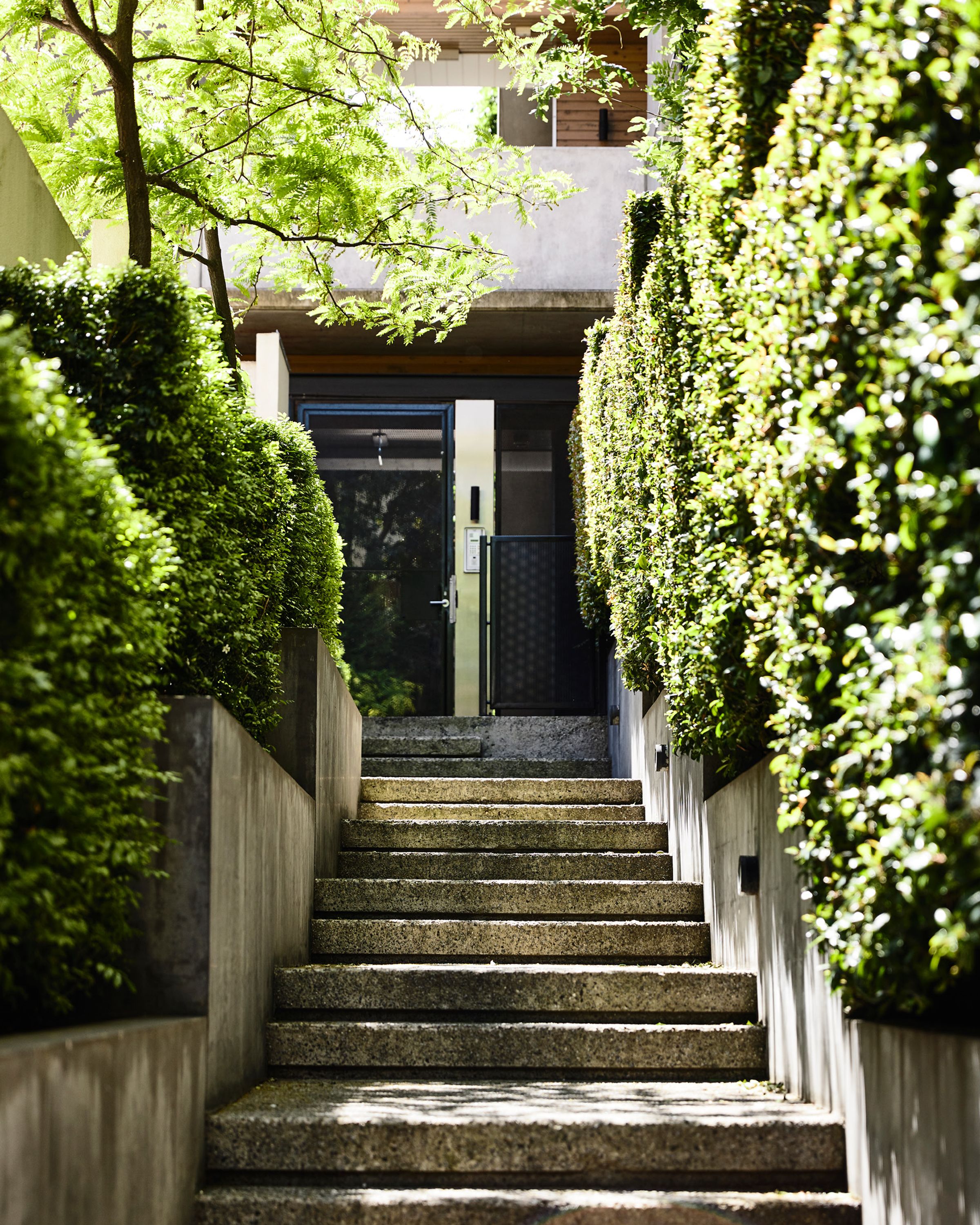 Harper Lane, St Kilda – Neometro