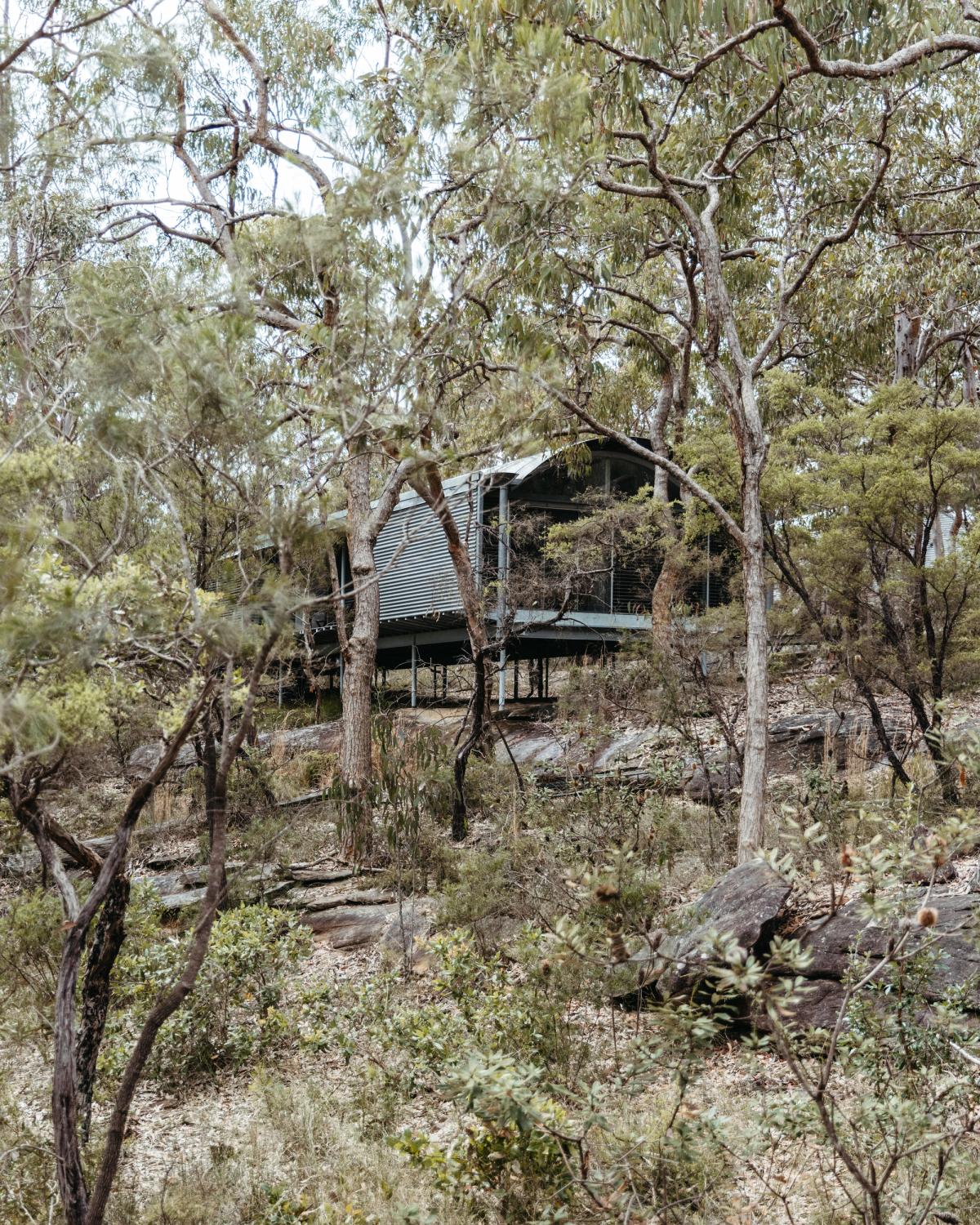 In Conversation with Tim Ross – Open Journal