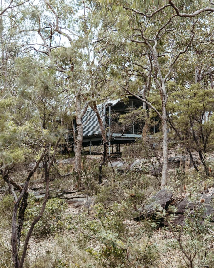 In Conversation with Tim Ross – Open Journal