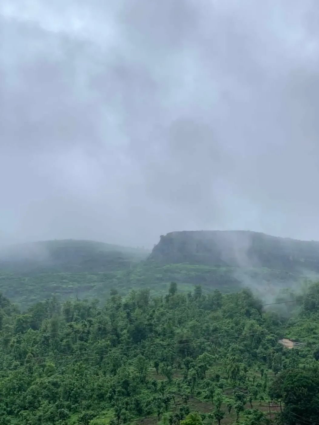 Beautiful Dang