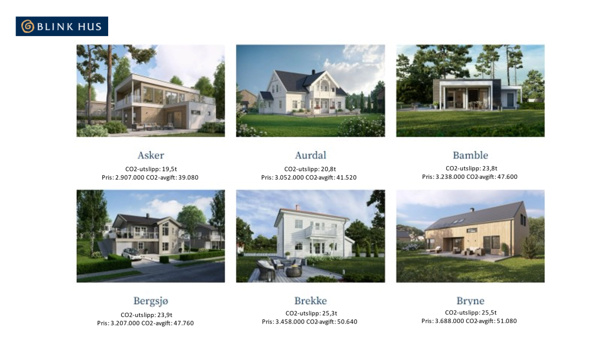 Dette tror boligselgeren blir framtidens bolig | Blink Hus