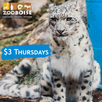 Boise Events | Things to do in Boise | Totally Boise Events Calendar