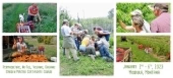 Boise Events | Things to do in Boise | Totally Boise Events Calendar