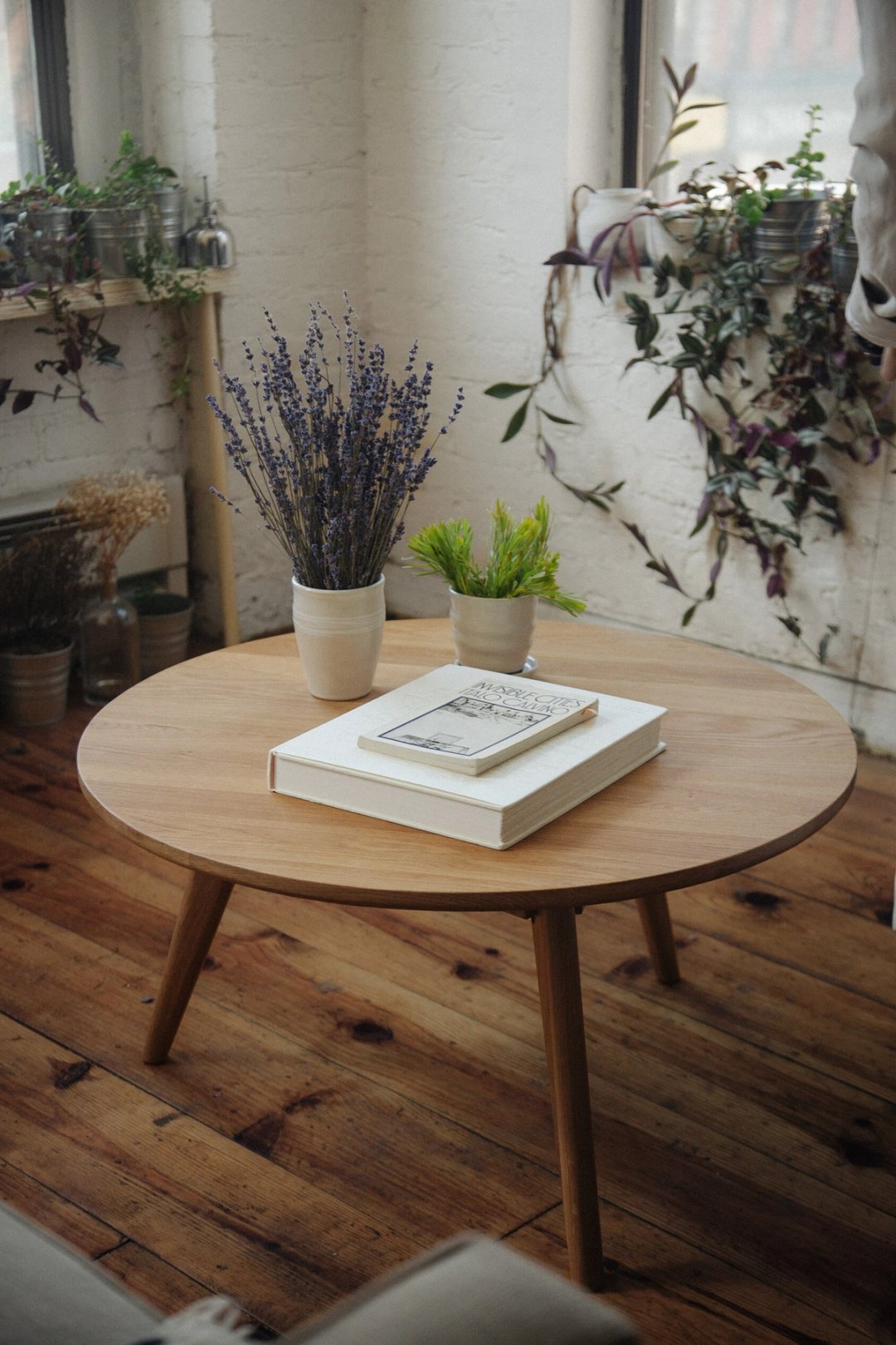Elo Coffee Table | Akron Street
