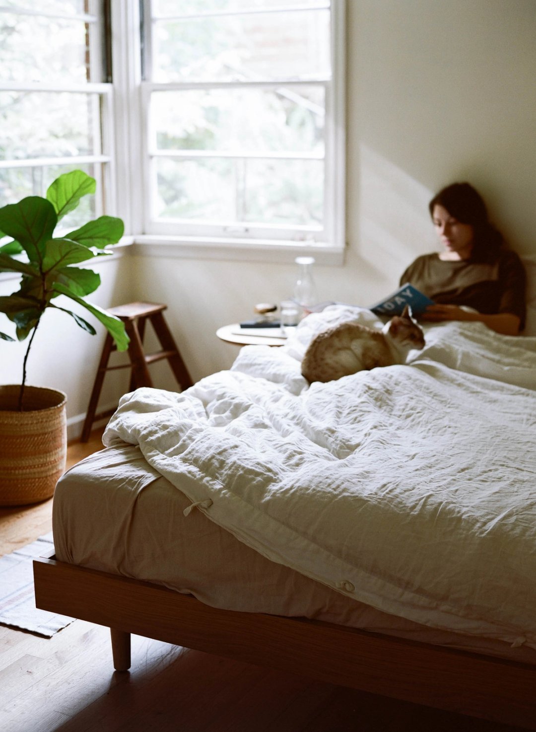 Mysa Bed | Akron Street