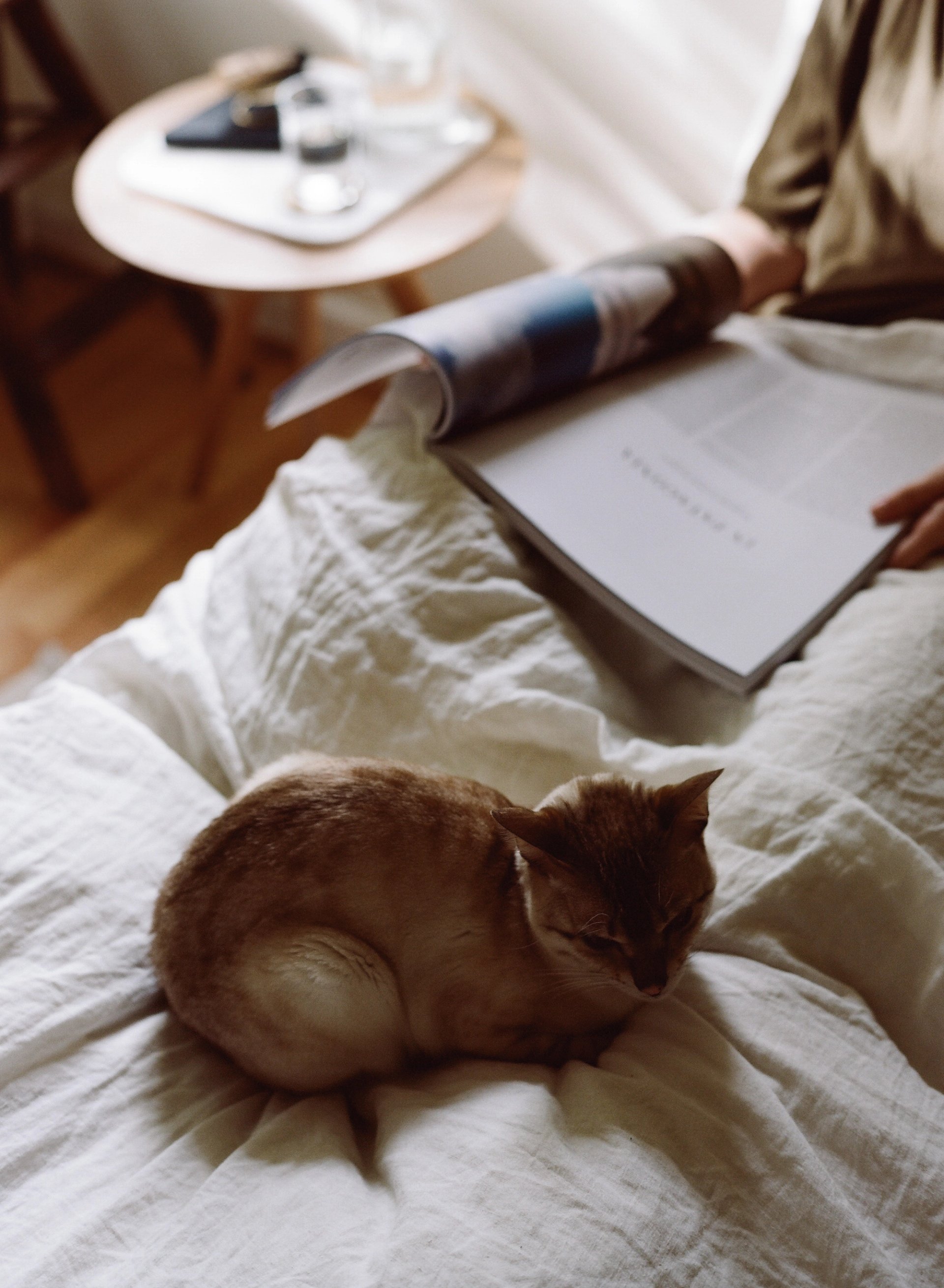 Contact / About | Akron Street