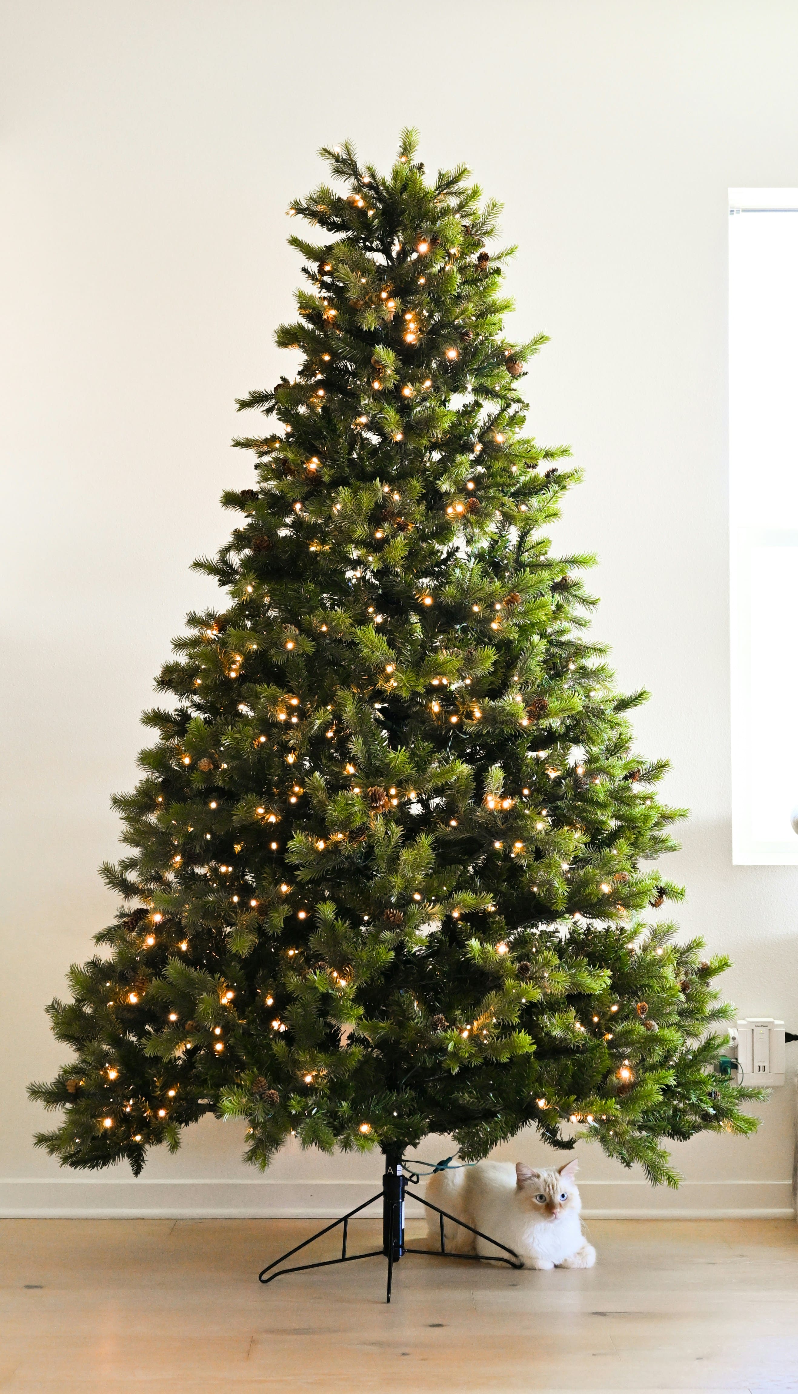 5 Fantastic Christmas Tree Ideas You Should Try In 2025