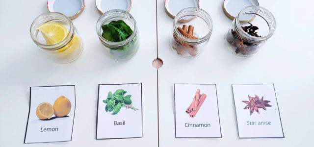 AIPS | Resources | Montessori Activities - Smelling Jars