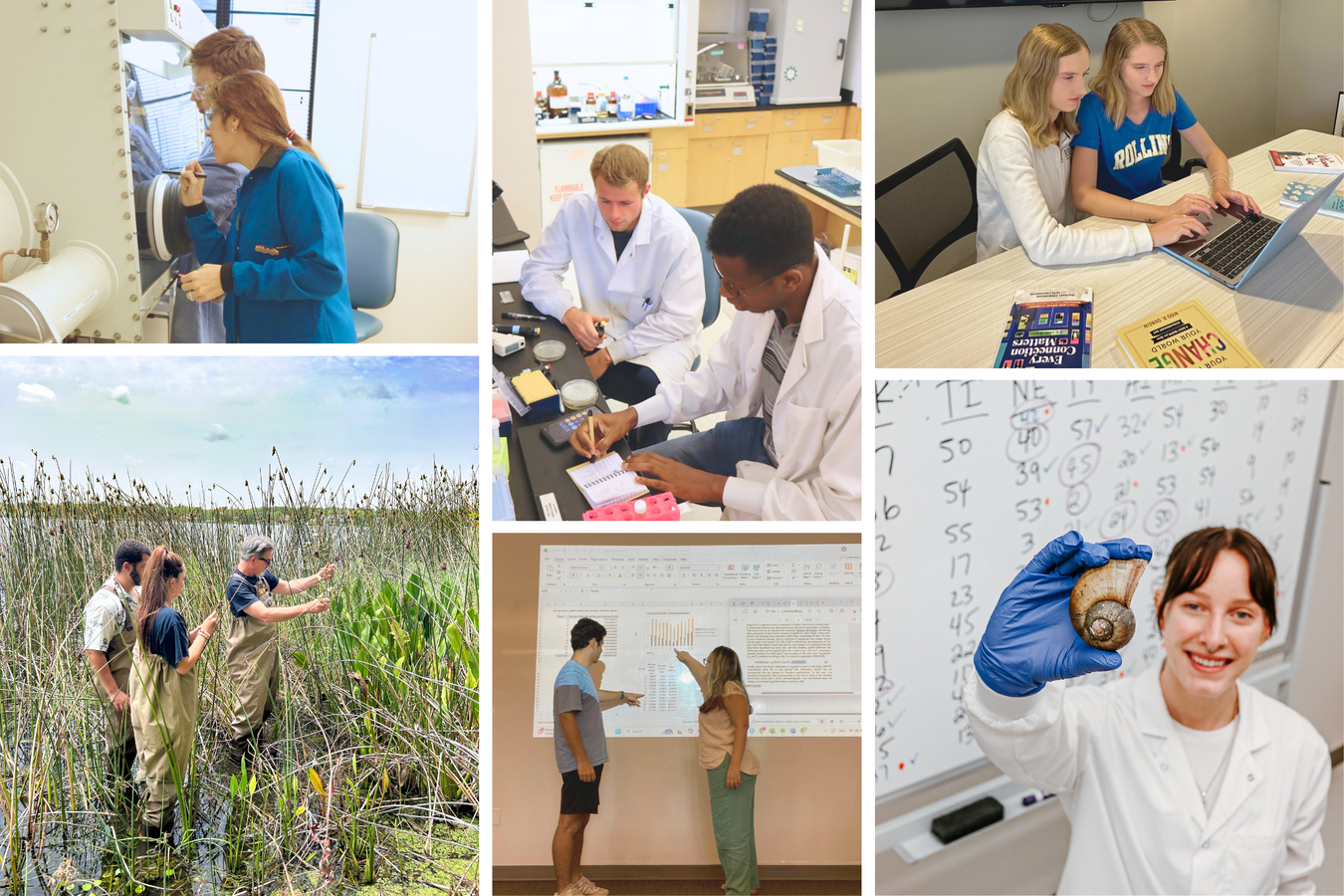 Collaborative Research