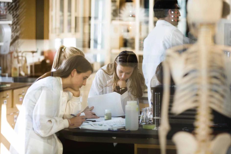 Rollins Ranked Among the Country’s Best Colleges for 2016