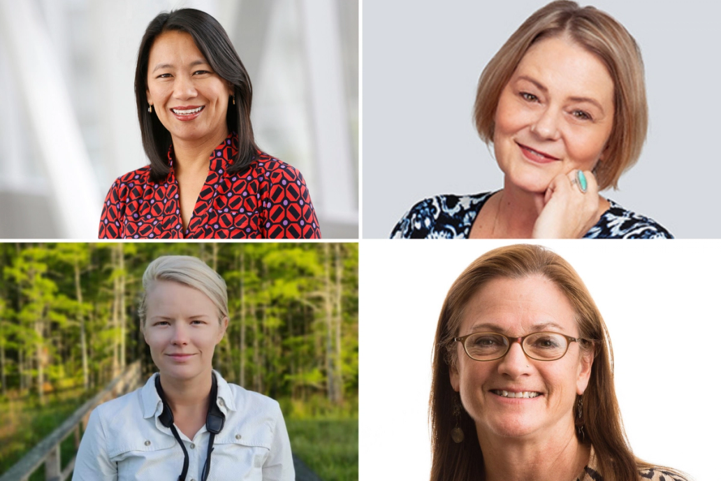 Rollins Announces 2023 Alumni Award Winners