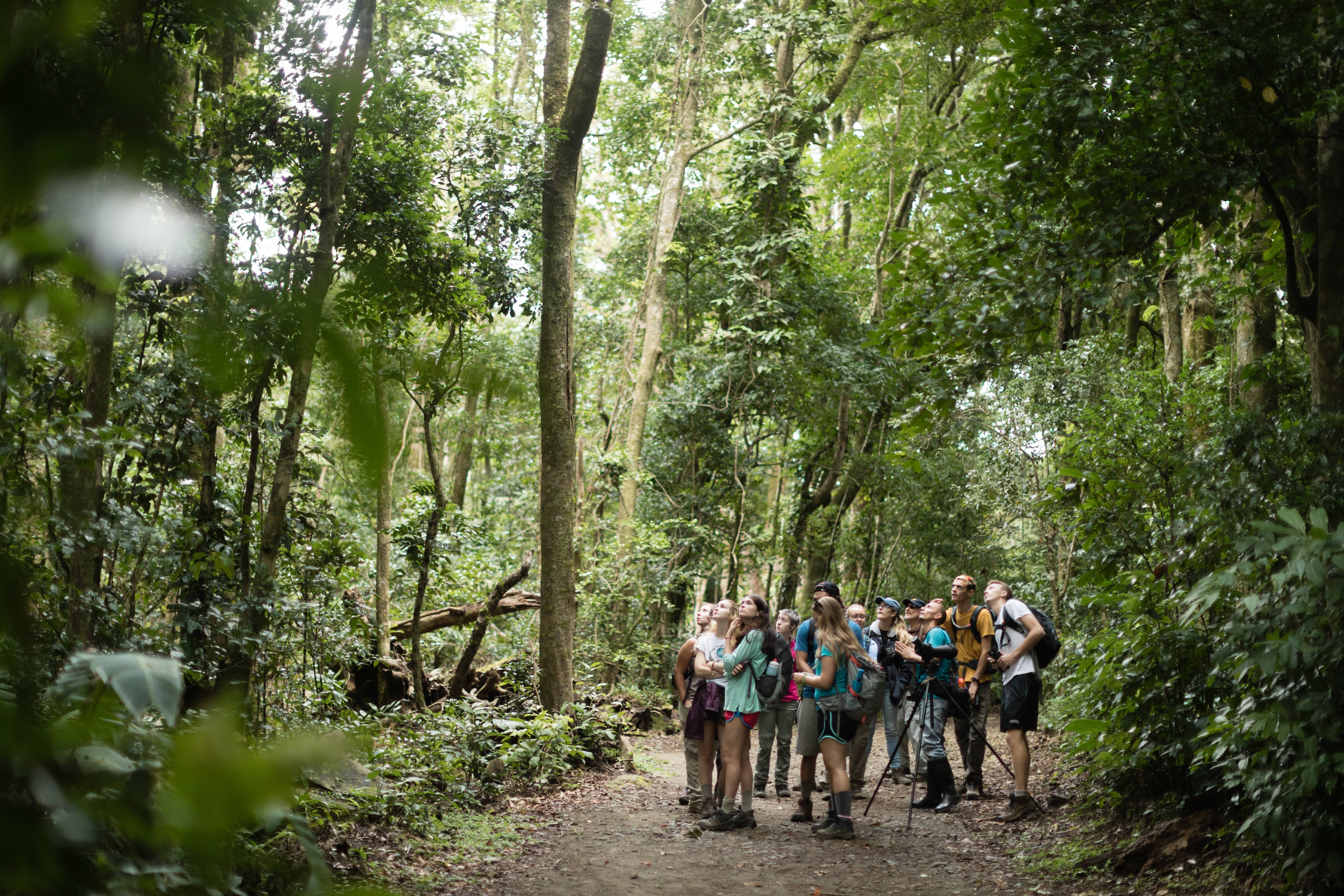Costa Rica: Summer in Conservation & Culture