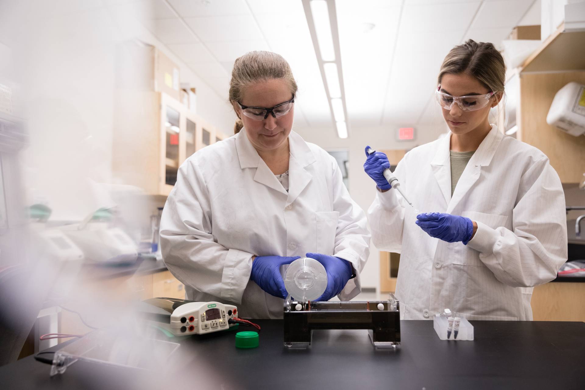 Major in Biology | Rollins College, Florida