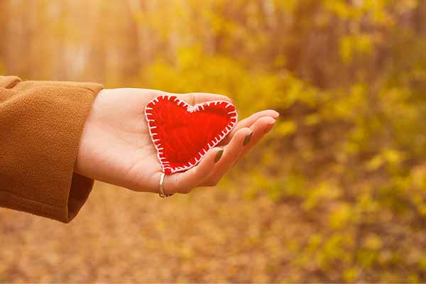 20 Fall Fundraising Ideas