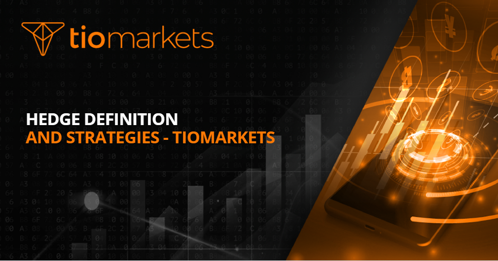 Hedge Definition and Strategies - TIOmarkets