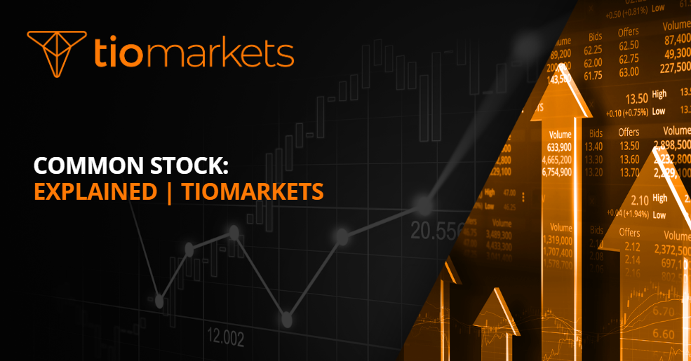 Common Stock: Explained | TIOmarkets