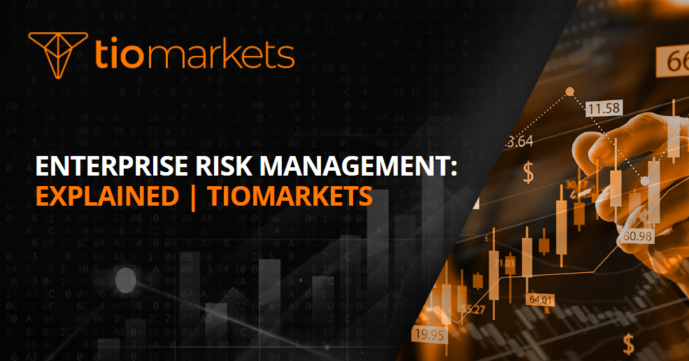 Enterprise Risk Management: Explained | TIOmarkets