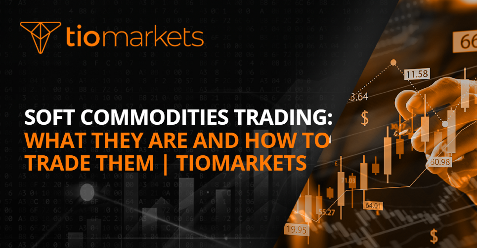 Soft Commodities Trading: What They Are and How to Trade Them | TIOmarkets