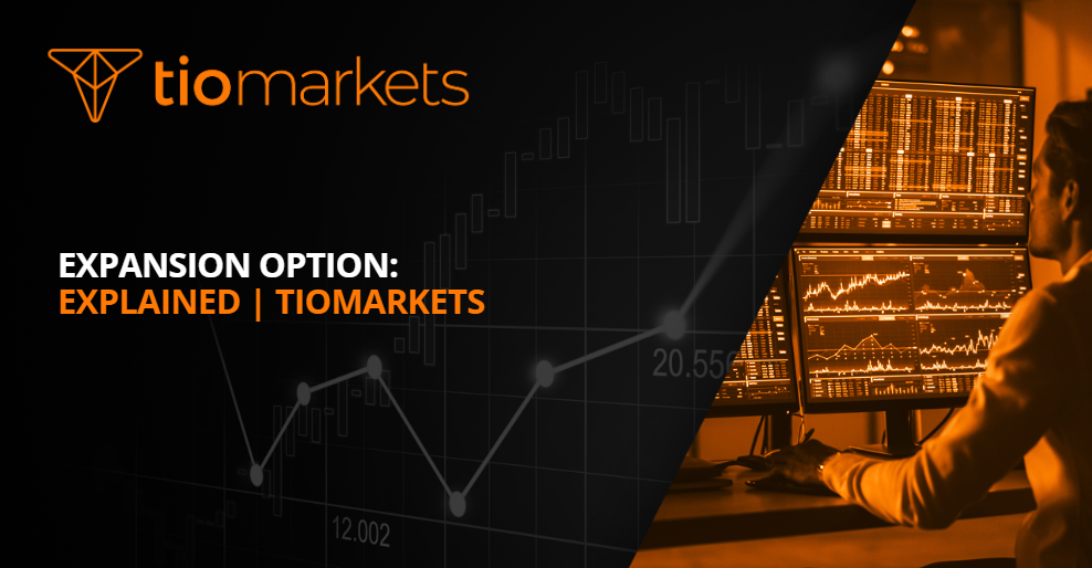 Expansion Option: Explained | TIOmarkets