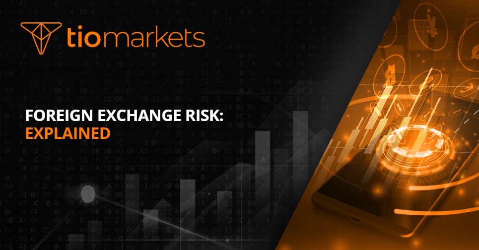 Foreign exchange risk: Explained