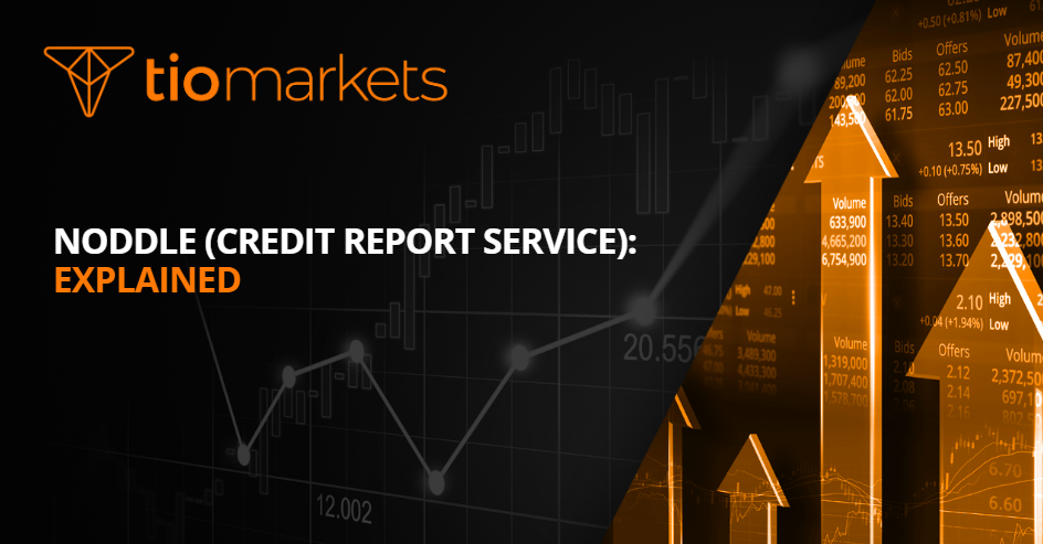 Noddle (credit report service): Explained