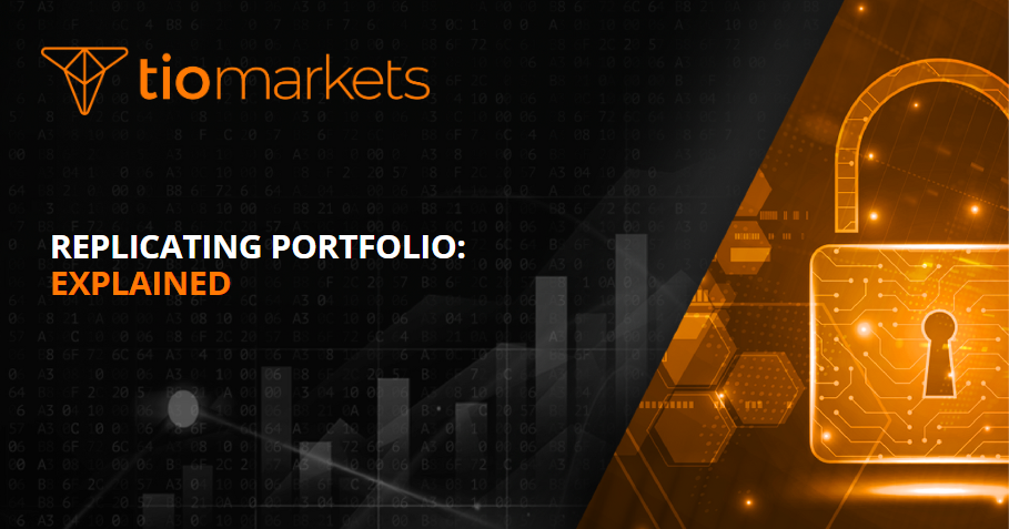 Replicating portfolio: Explained