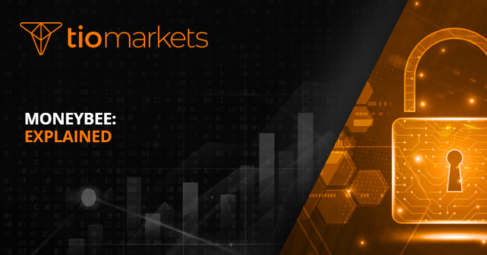 MoneyBee: Explained
